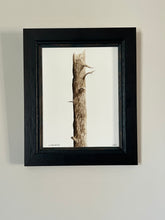 Kozo 4 – Kingmaker_studio